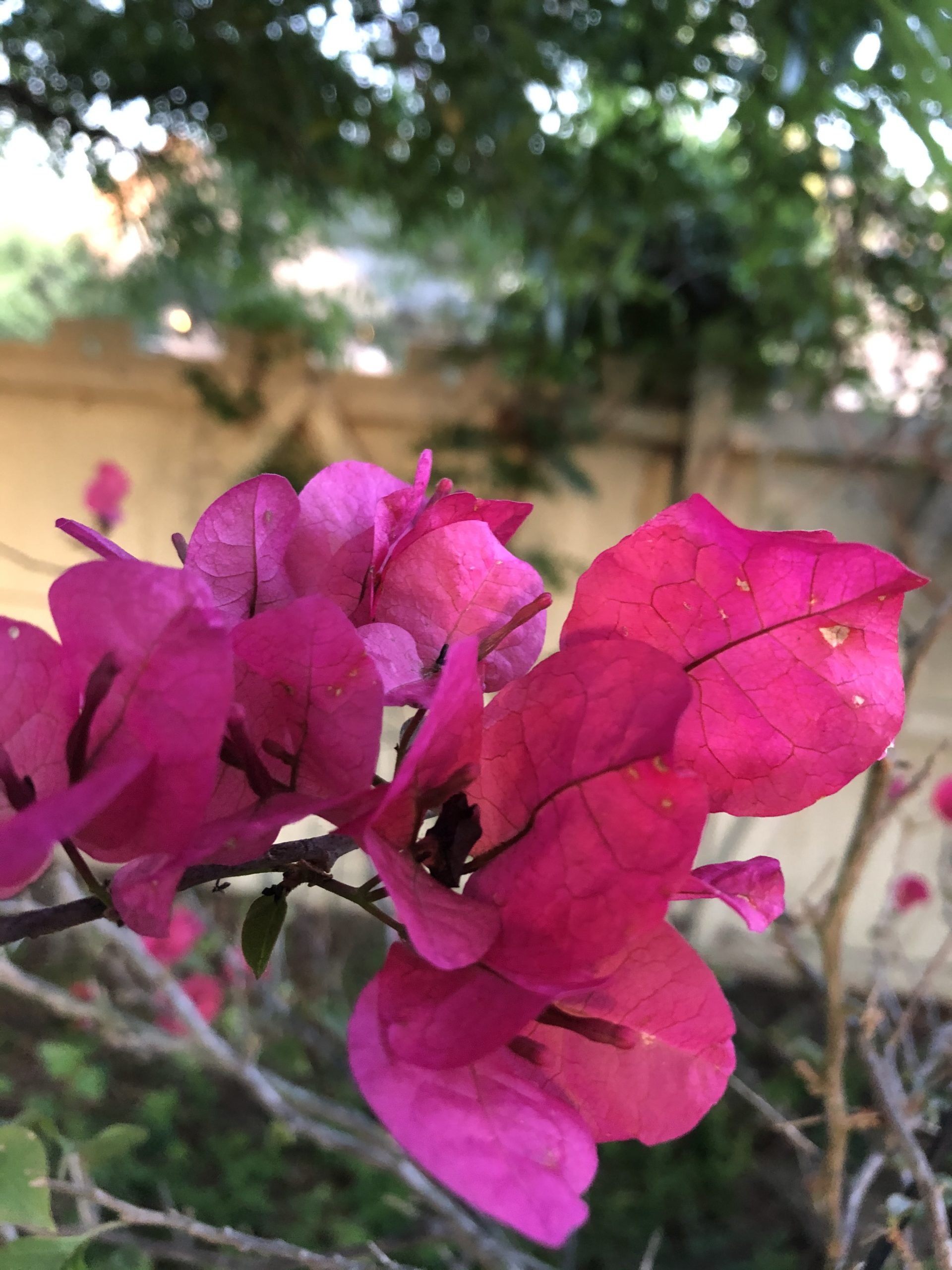 Maintaining A Self Care Routine AwesomismMom maintaining-a-self-care-routine-awesomismmom